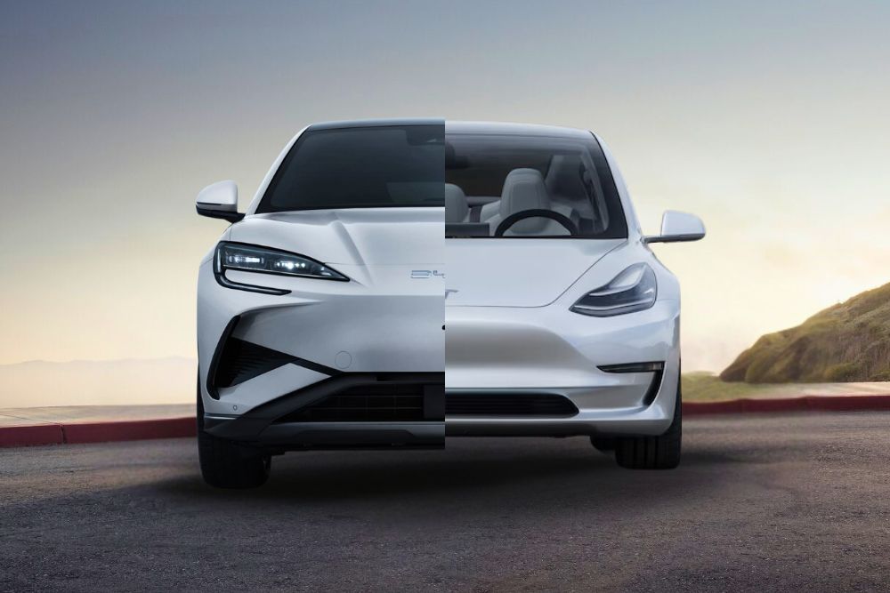BYD Sealion 7 V Tesla Model Y